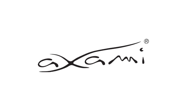 Axami Lingeri - Luksus lingeri og perfekt pasform.